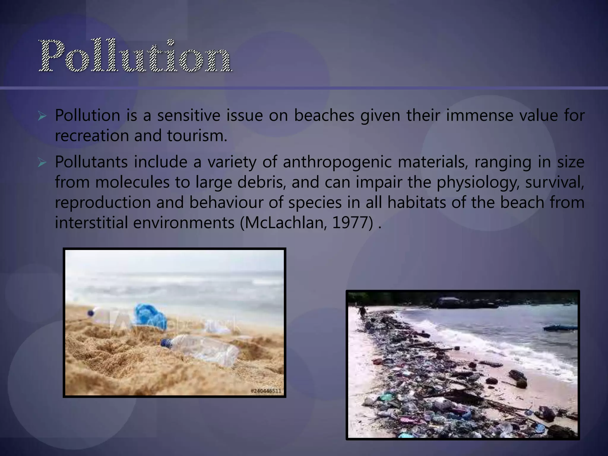Sandy beach ecosystem.ppt