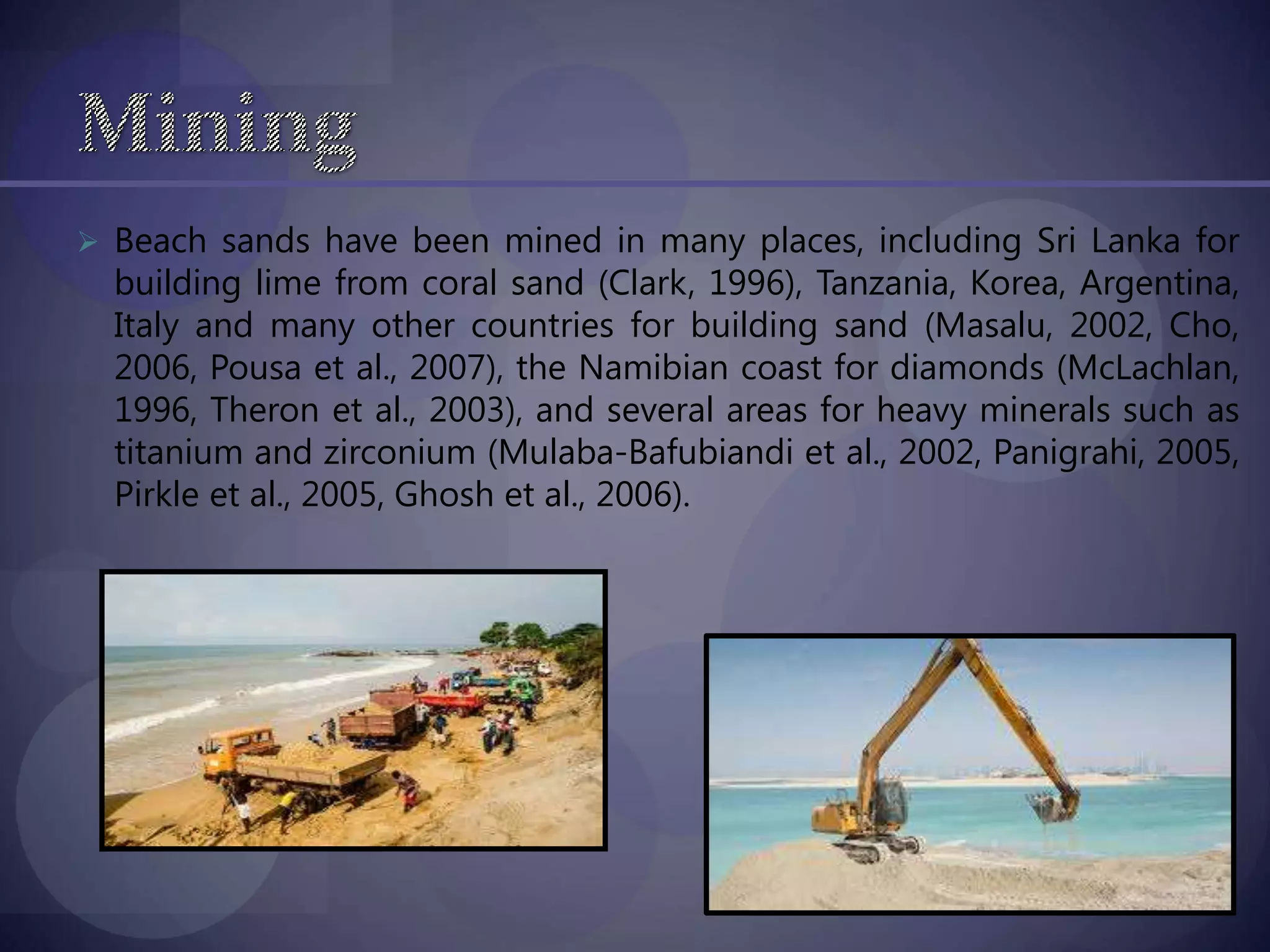 Sandy beach ecosystem.ppt