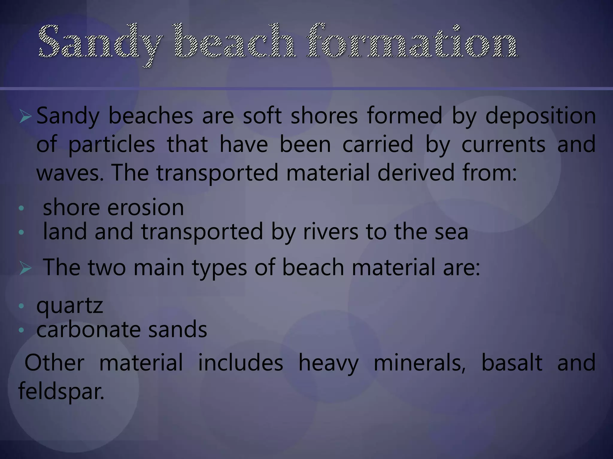 Sandy beach ecosystem.ppt