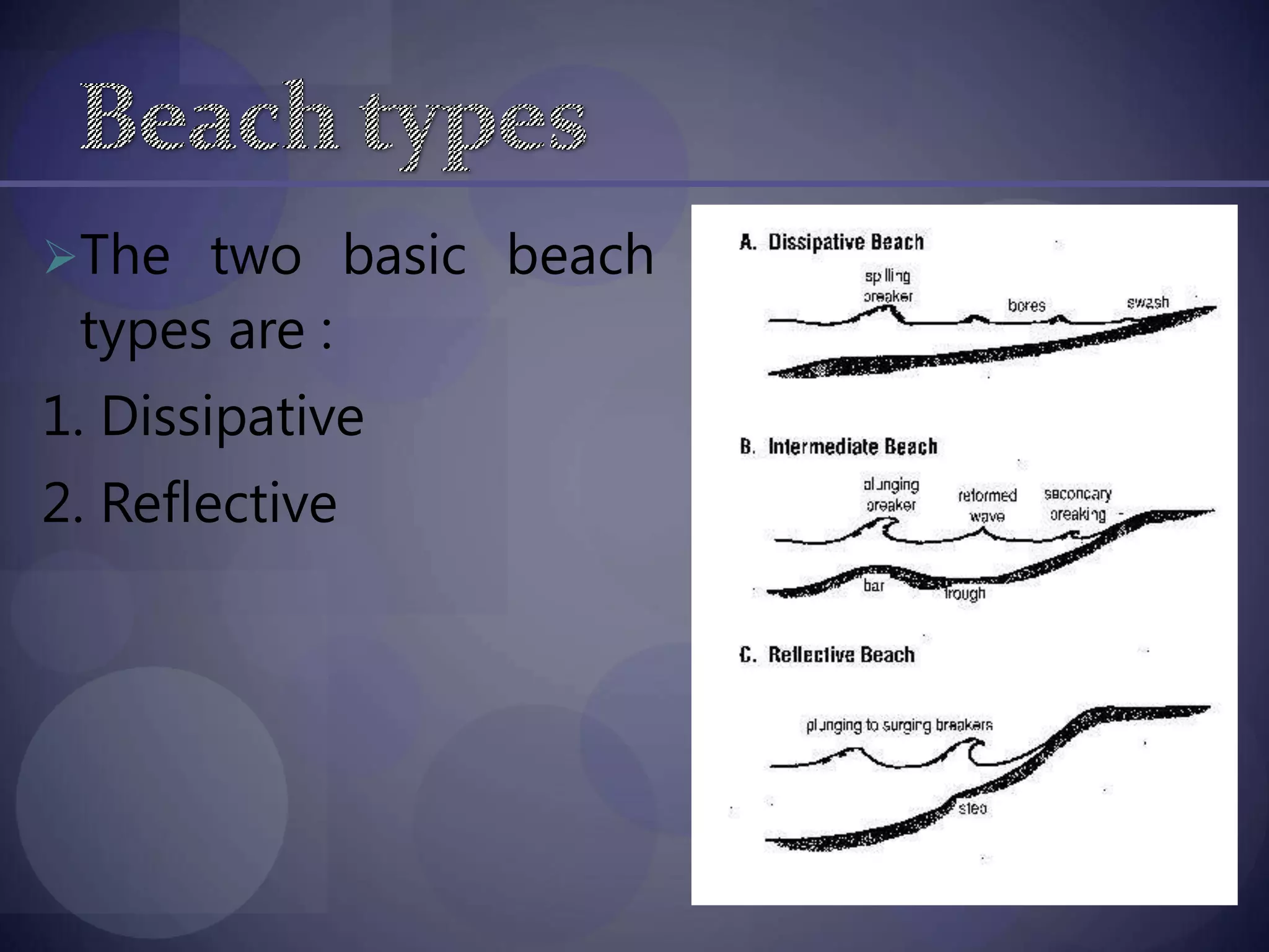 Sandy beach ecosystem.ppt | Geography | Science