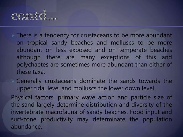 Sandy beach ecosystem.ppt | Geography | Science