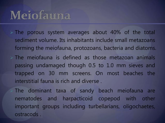 Sandy beach ecosystem.ppt | Geography | Science