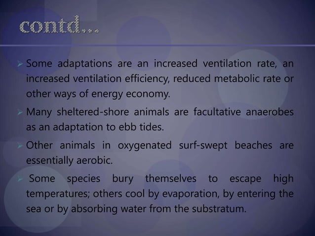 Sandy beach ecosystem.ppt | Geography | Science