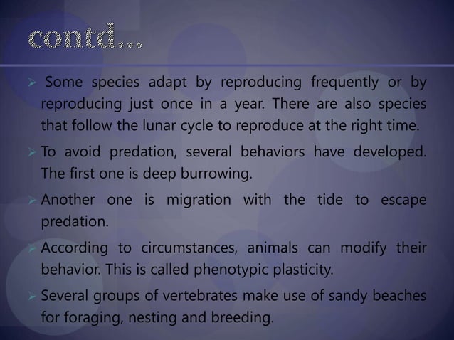 Sandy beach ecosystem.ppt | Geography | Science