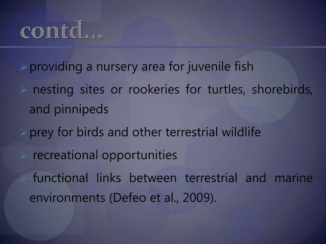 Sandy beach ecosystem.ppt | Geography | Science