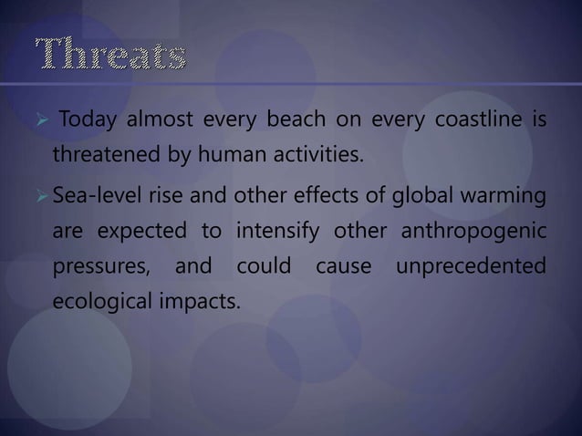 Sandy beach ecosystem.ppt | Geography | Science