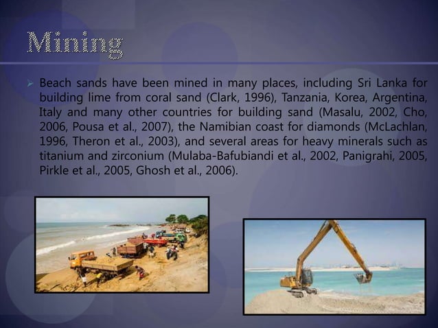 Sandy beach ecosystem.ppt | Geography | Science