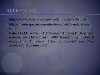 Sandy beach ecosystem.ppt