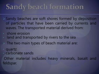 Sandy beach ecosystem.ppt