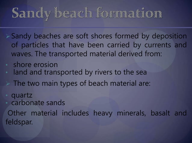 Sandy beach ecosystem.ppt | Geography | Science