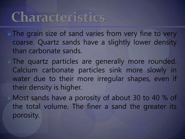 Sandy beach ecosystem.ppt | Geography | Science