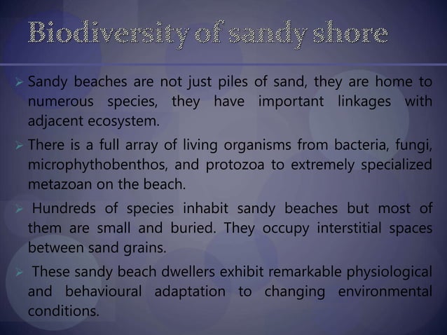 Sandy beach ecosystem.ppt | Geography | Science