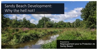 Save Sandy Beach - Presentation | PDF