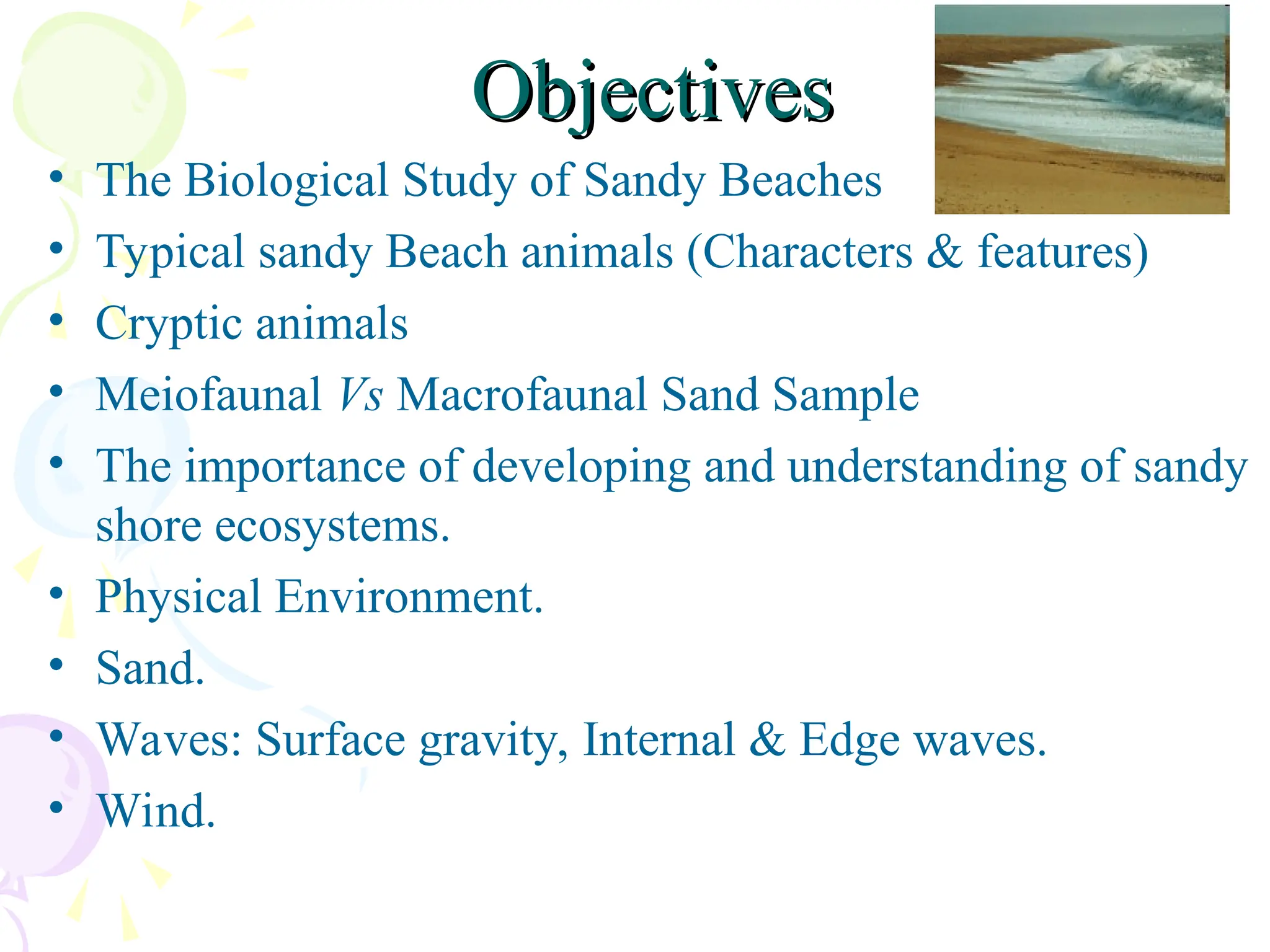 Sandyshore Ecosystem PowerPoint Presentation | PPT