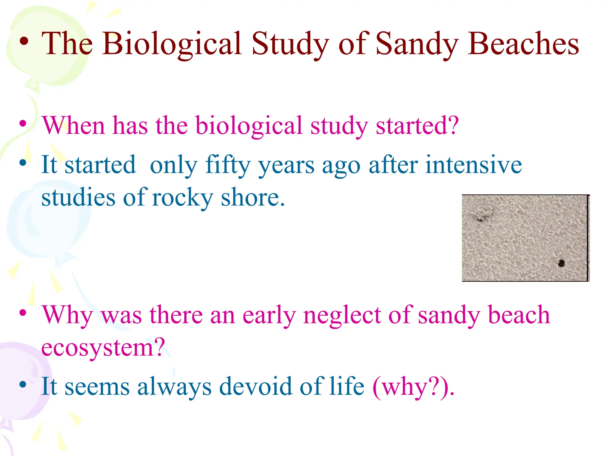 Sandyshore Ecosystem PowerPoint Presentation | PPT