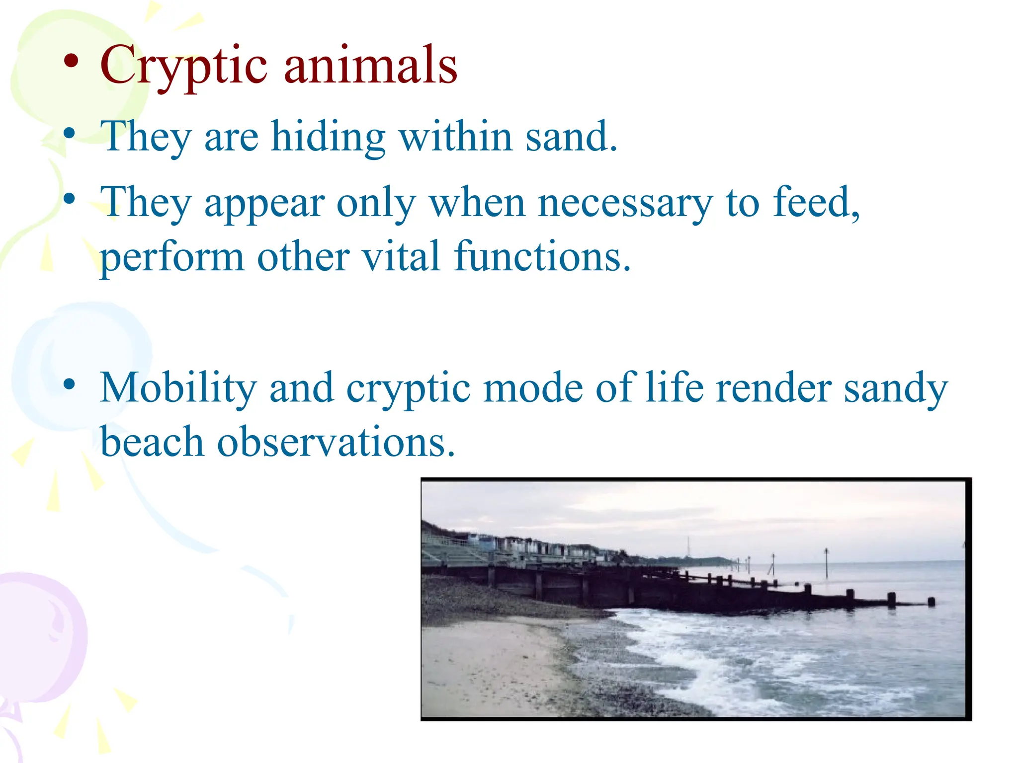 Sandyshore Ecosystem PowerPoint Presentation | PPT