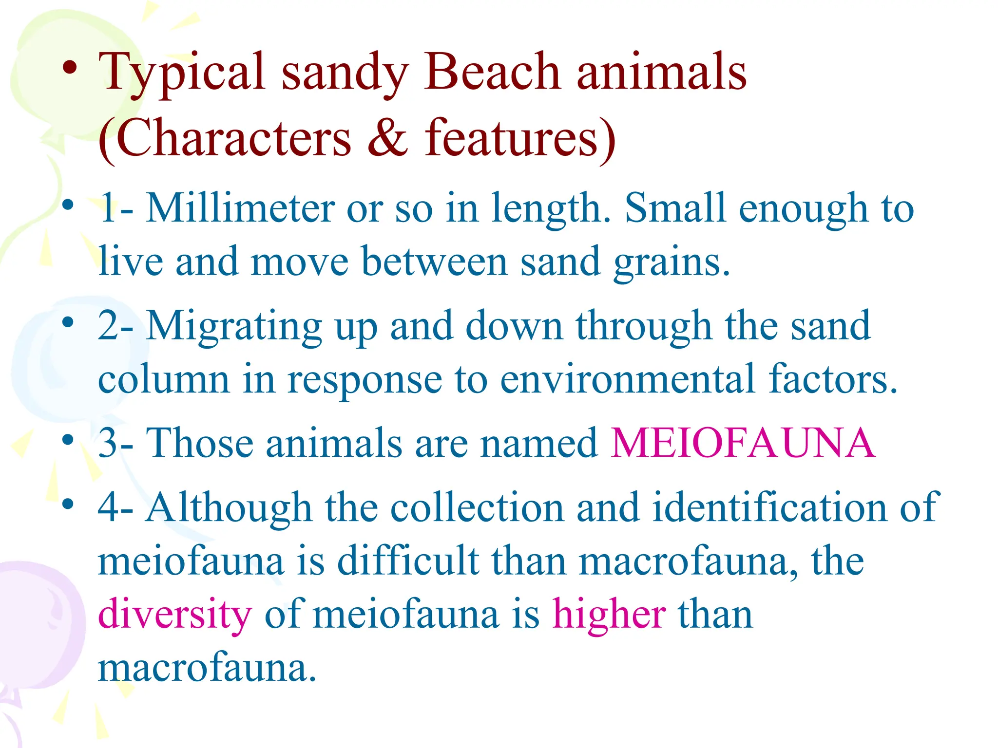 Sandyshore Ecosystem PowerPoint Presentation | PPT