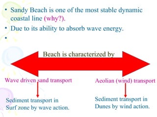 Sandyshore Ecosystem PowerPoint Presentation | PPT