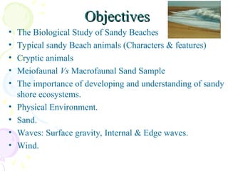 Sandyshore Ecosystem PowerPoint Presentation | PPT