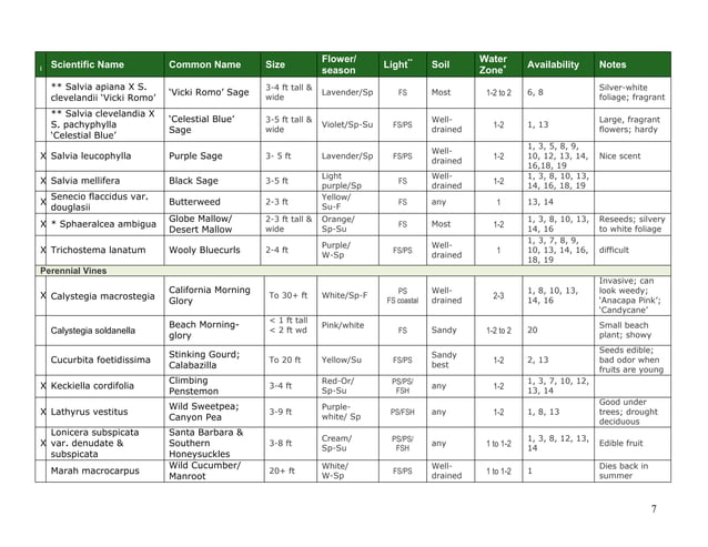 Sandy soils 3-11 | PDF | Gardening | Home & Garden