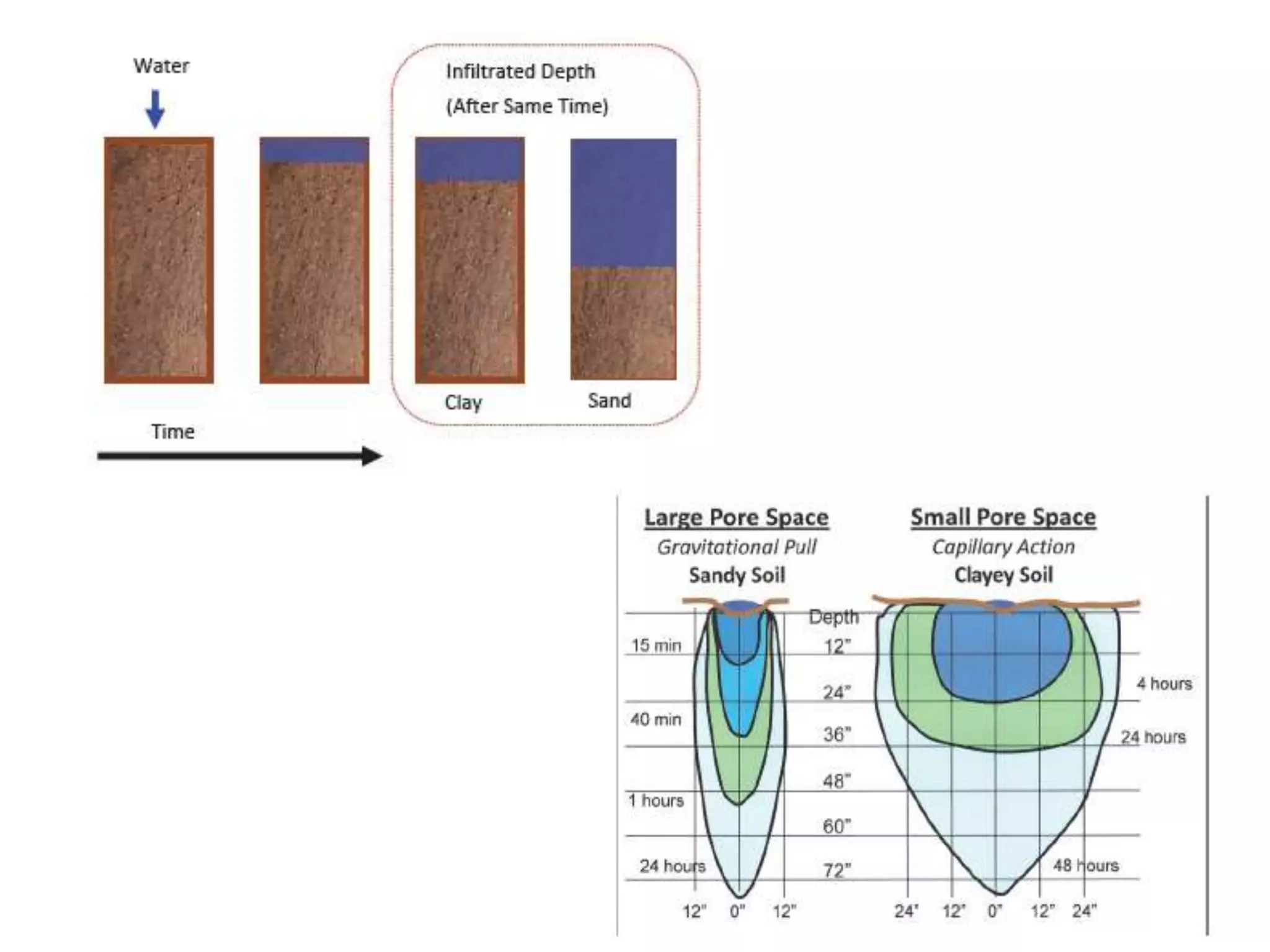 Sandy soils RG.pptx