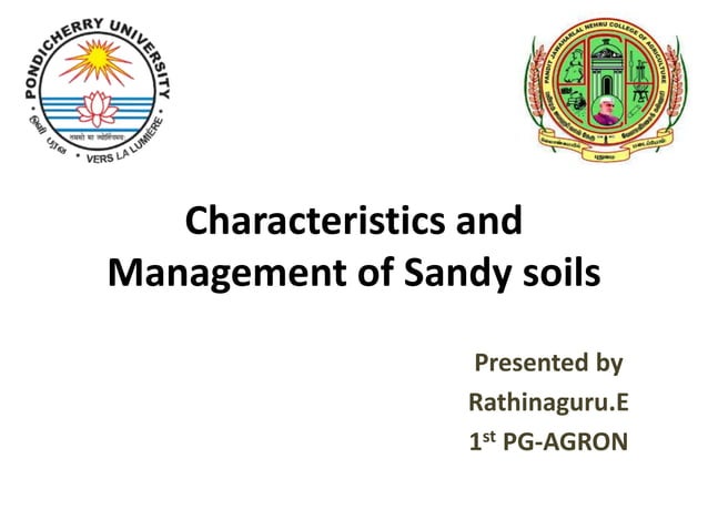 Sandy soils RG.pptx | Agriculture | Industries