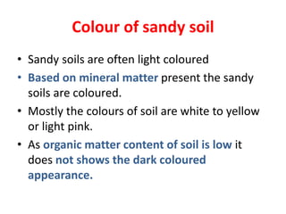 Sandy soils RG.pptx