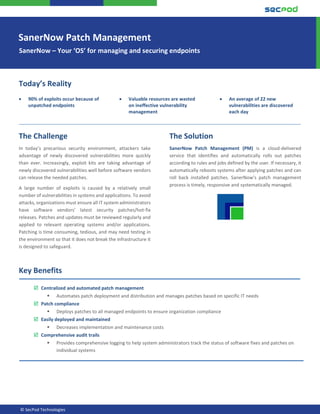 SanerNow Patch Management | PDF