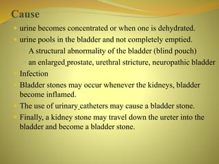 Sang e-gurda Vo Masana (Renal and Urinary Bladder Calculi) | PPTX