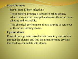 Sang e-gurda Vo Masana (Renal and Urinary Bladder Calculi) | PPT