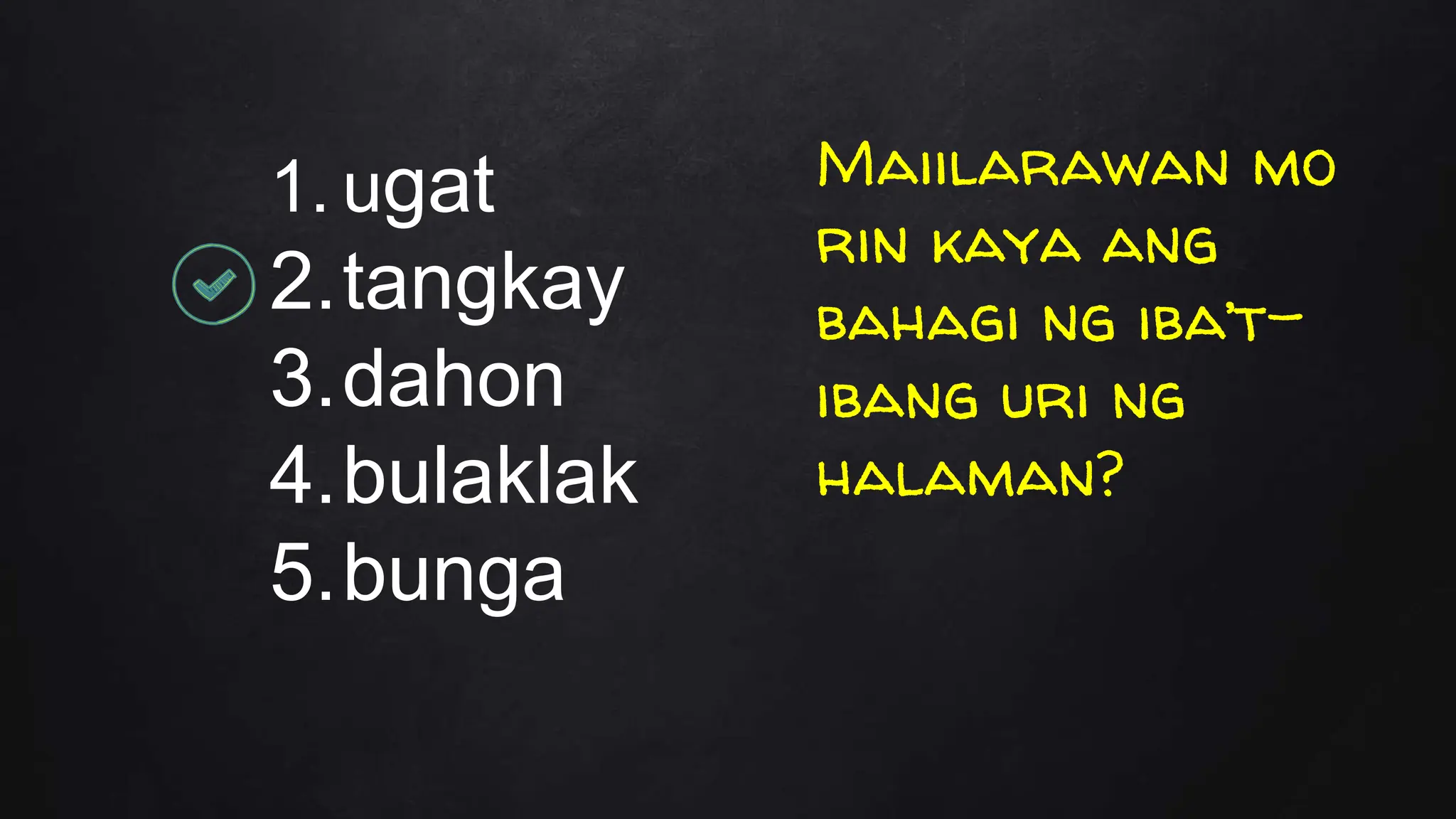 Sanga o tangkay ng halaman-Grade 3 .pptx