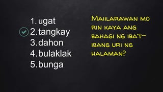 Sanga o tangkay ng halaman-Grade 3 .pptx