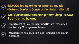 Sanga o tangkay ng halaman-Grade 3 .pptx