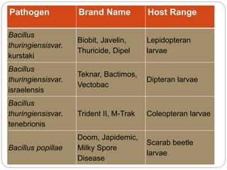 Role of biological control agent in crop protection | PPTX