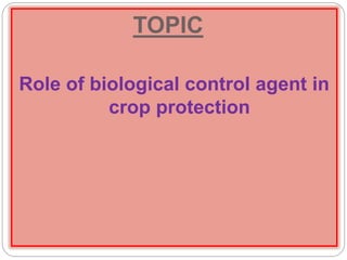Role of biological control agent in crop protection | PPTX