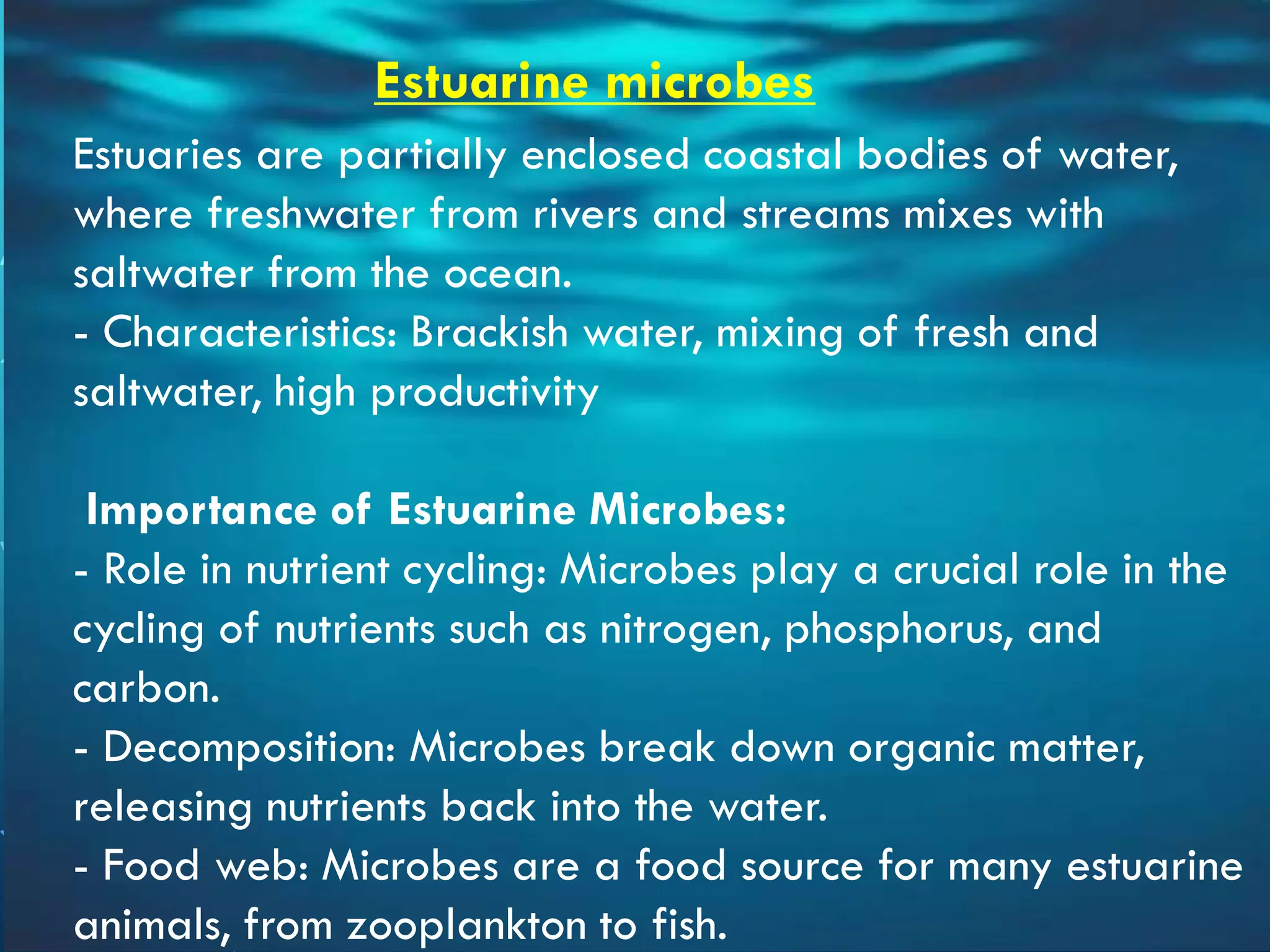 Mangrove and estuarine microbes | PDF