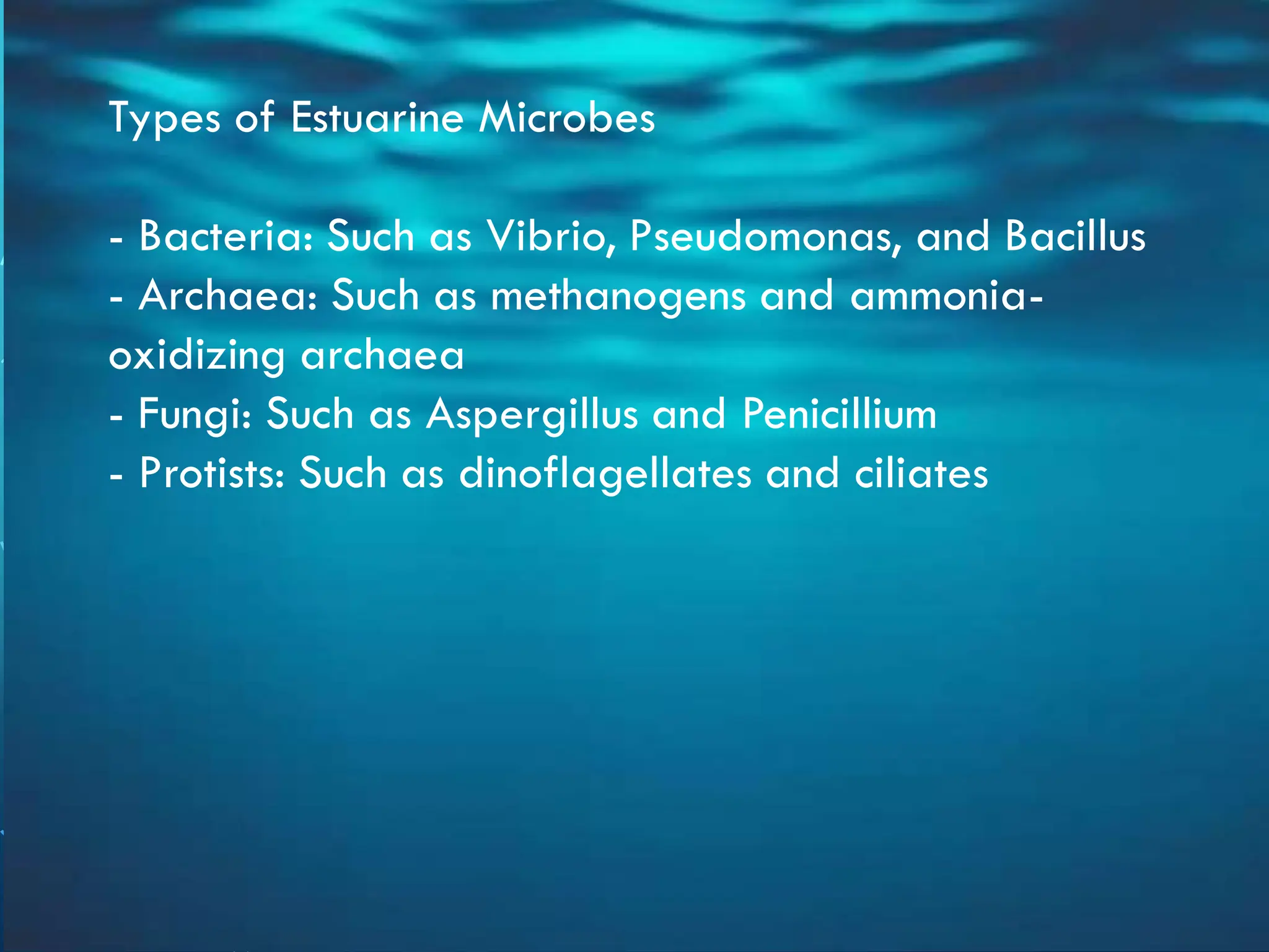 Mangrove and estuarine microbes | PDF