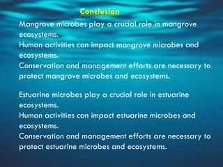 Mangrove and estuarine microbes | PDF