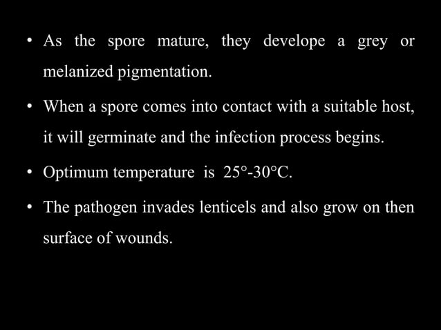 Common Scab of Potato | PPTX
