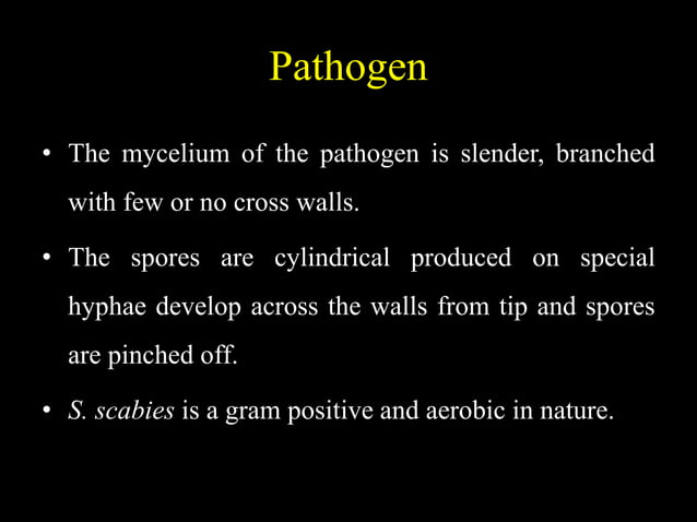 Common Scab of Potato | PPTX