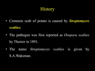 Common Scab of Potato | PPTX