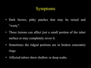 Common Scab of Potato | PPTX