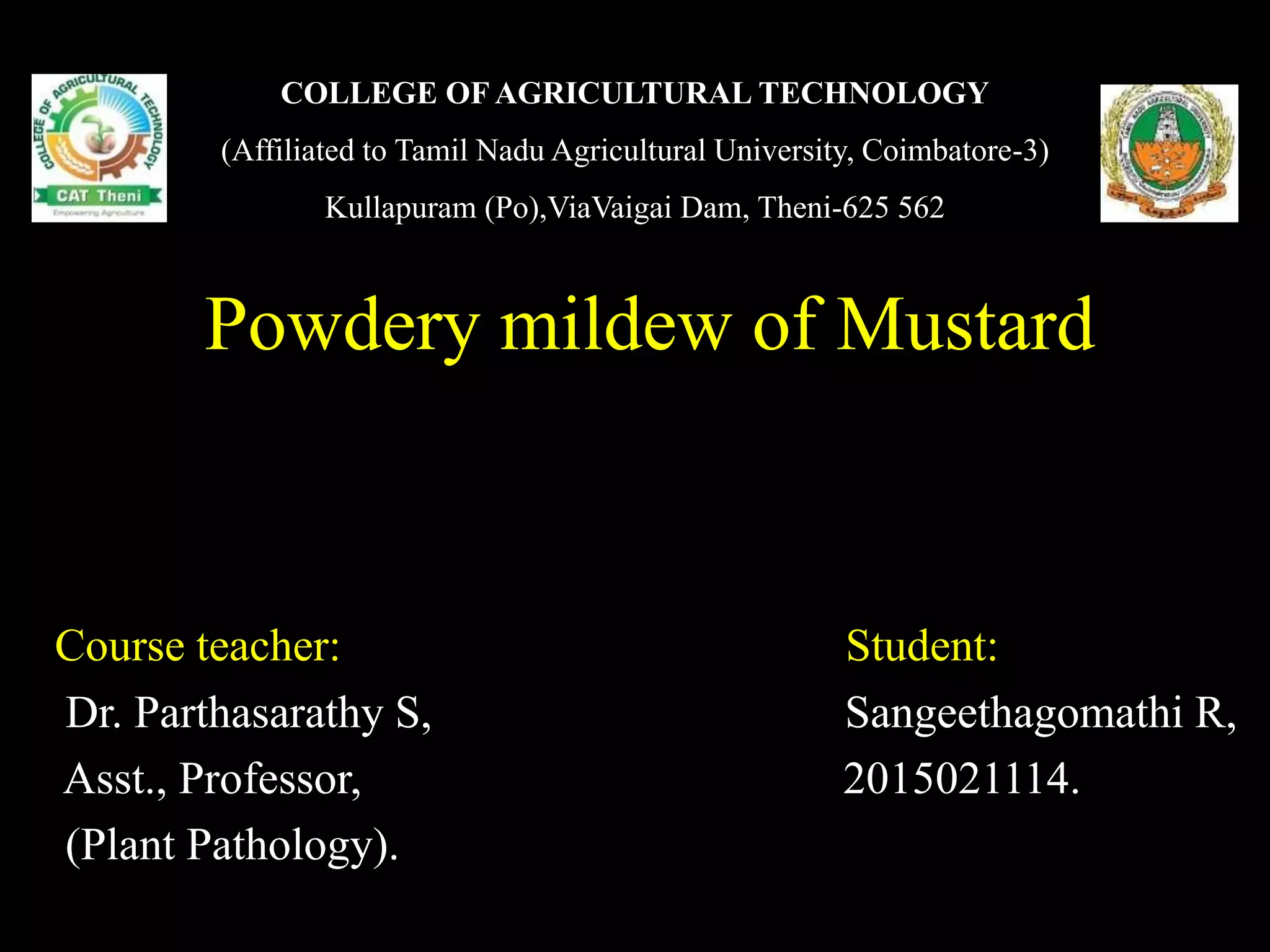 POWDERY MILDEW OF MUSTARD | PPTX