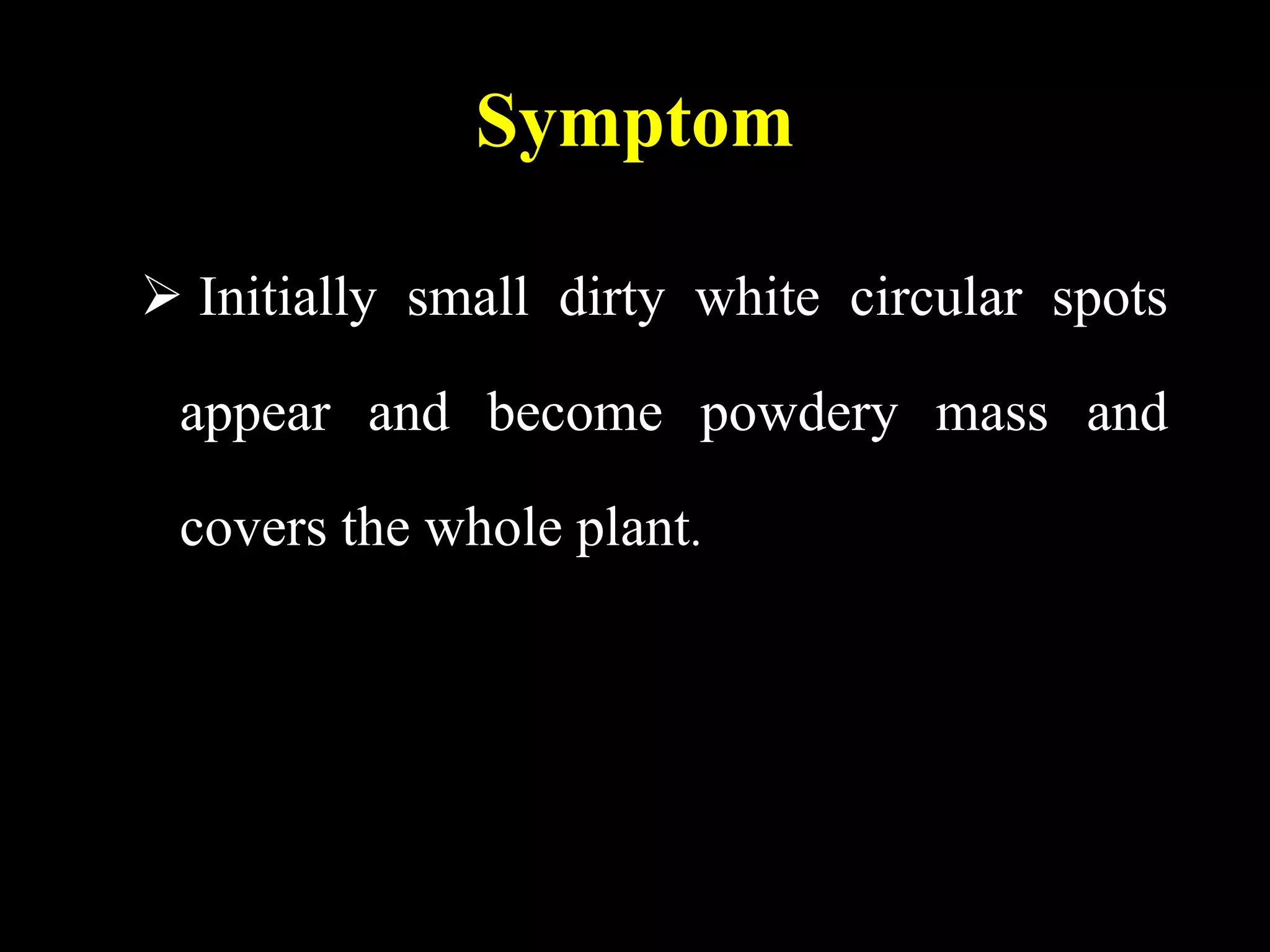 POWDERY MILDEW OF MUSTARD | PPTX