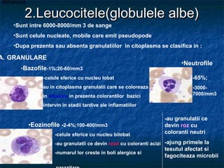 Blood | PPT