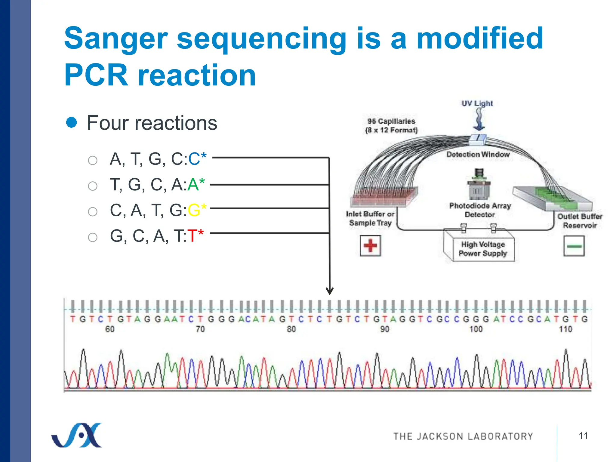 sanger-sequencing-presentation bases teoricas.pptx | Chemistry | Science