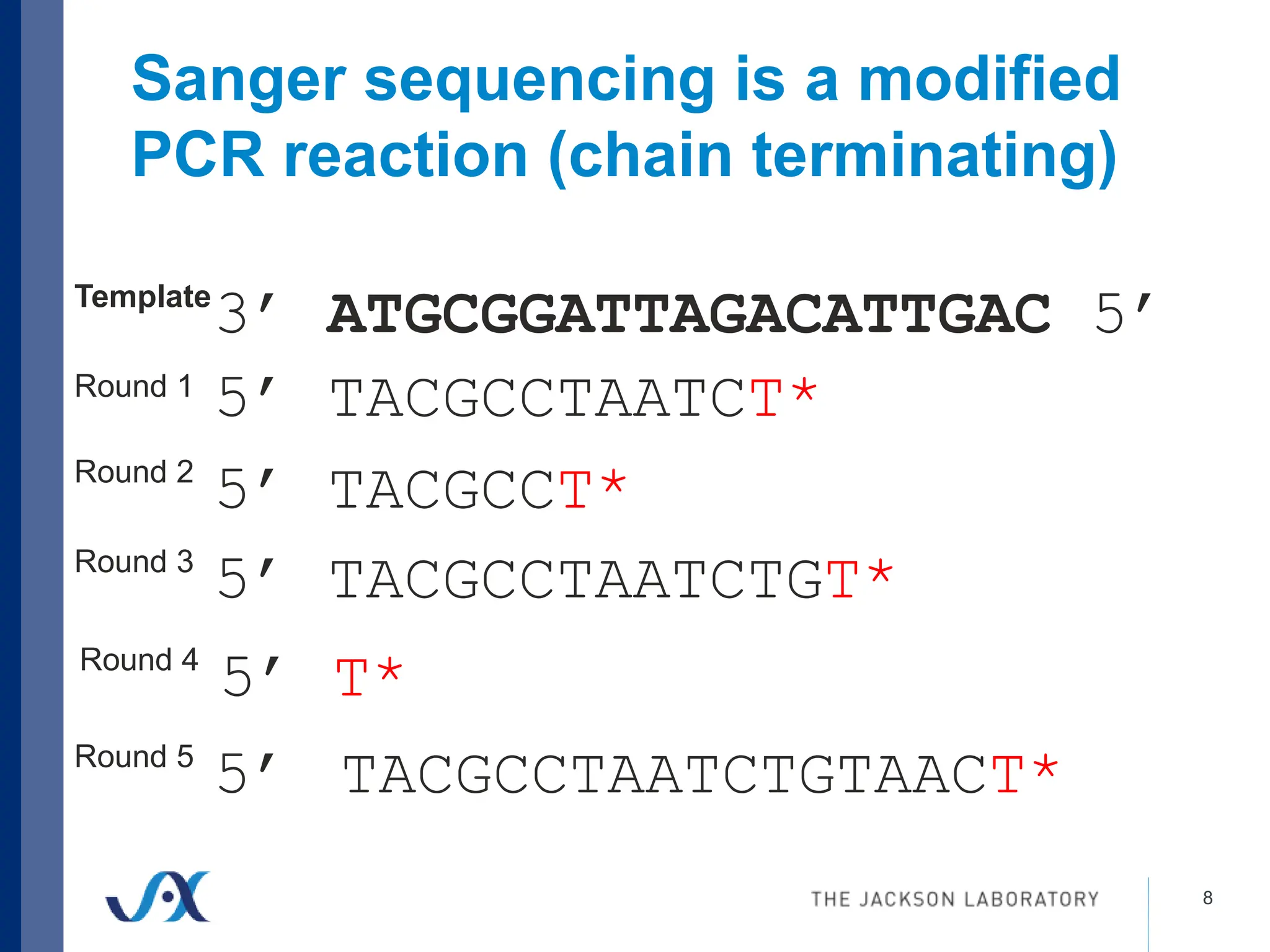 sanger-sequencing-presentation bases teoricas.pptx | Chemistry | Science