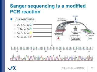 sanger-sequencing-presentation bases teoricas.pptx | Chemistry | Science