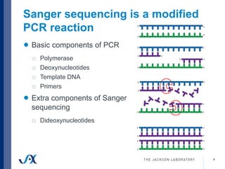 sanger-sequencing-presentation bases teoricas.pptx | Chemistry | Science