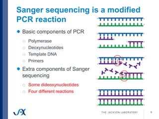 sanger-sequencing-presentation bases teoricas.pptx